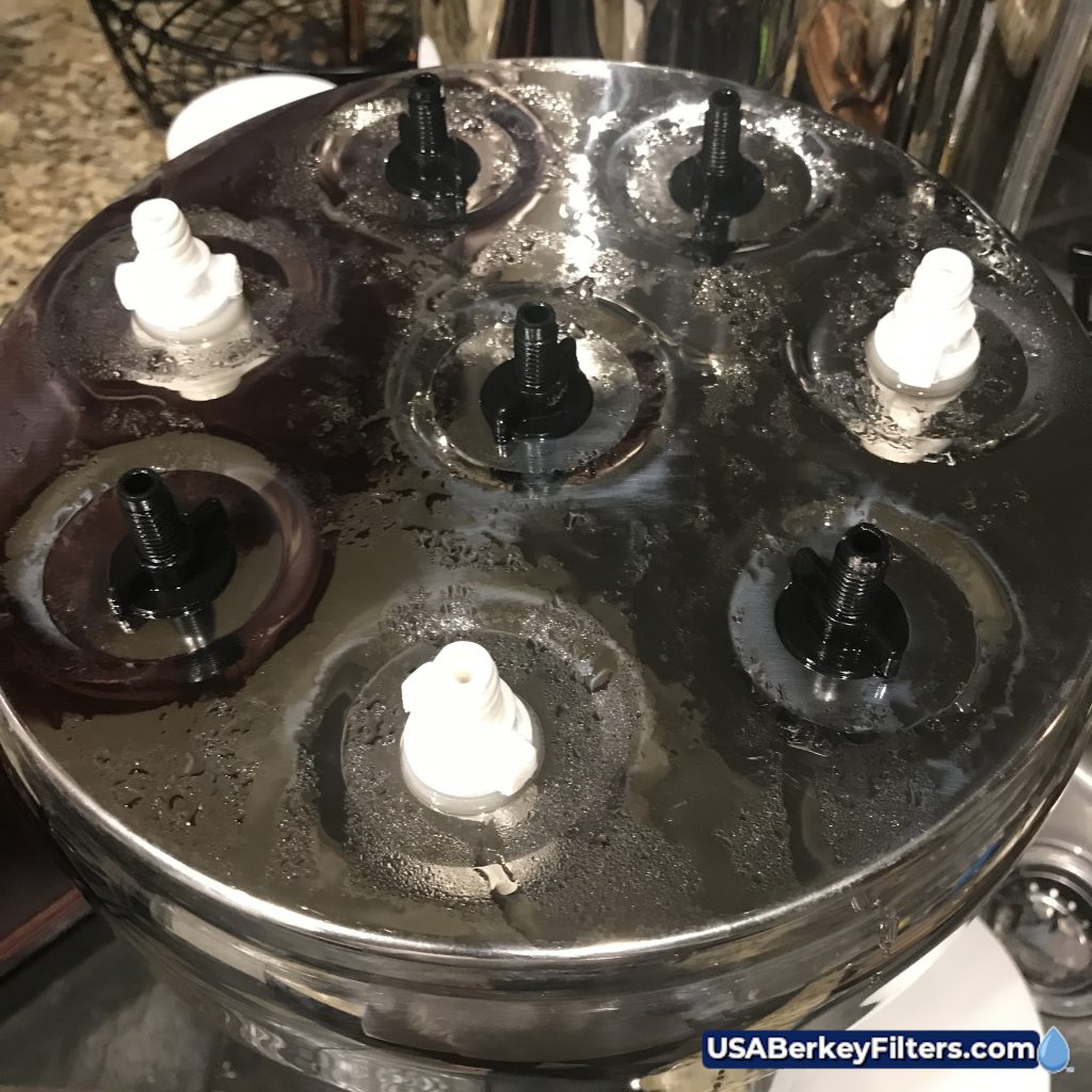 Berkey® Tip: Storing Your Black Berkey® Elements While You're Away ...