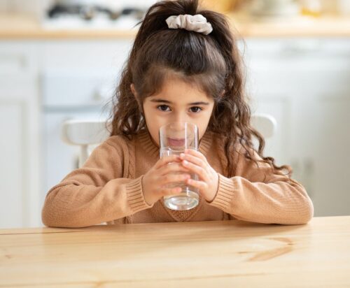 Exploring Advanced Features In Modern Water Filtration Systems - USA ...